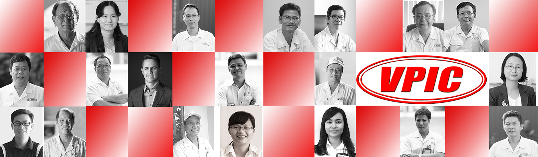 4 Reasons VPIC Makes a Great Partner